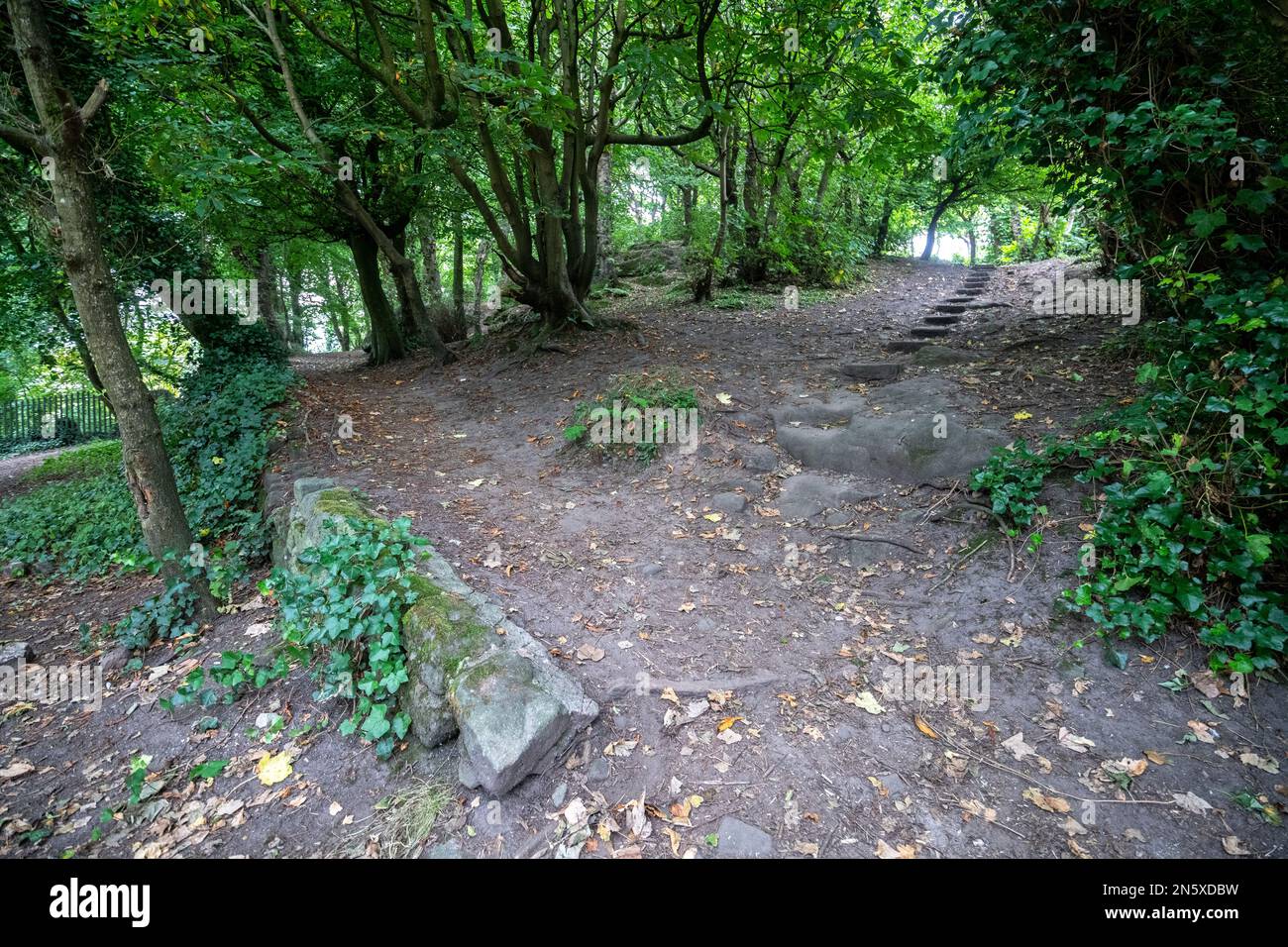 St. Patricks Church walking path Stock Photo - Alamy