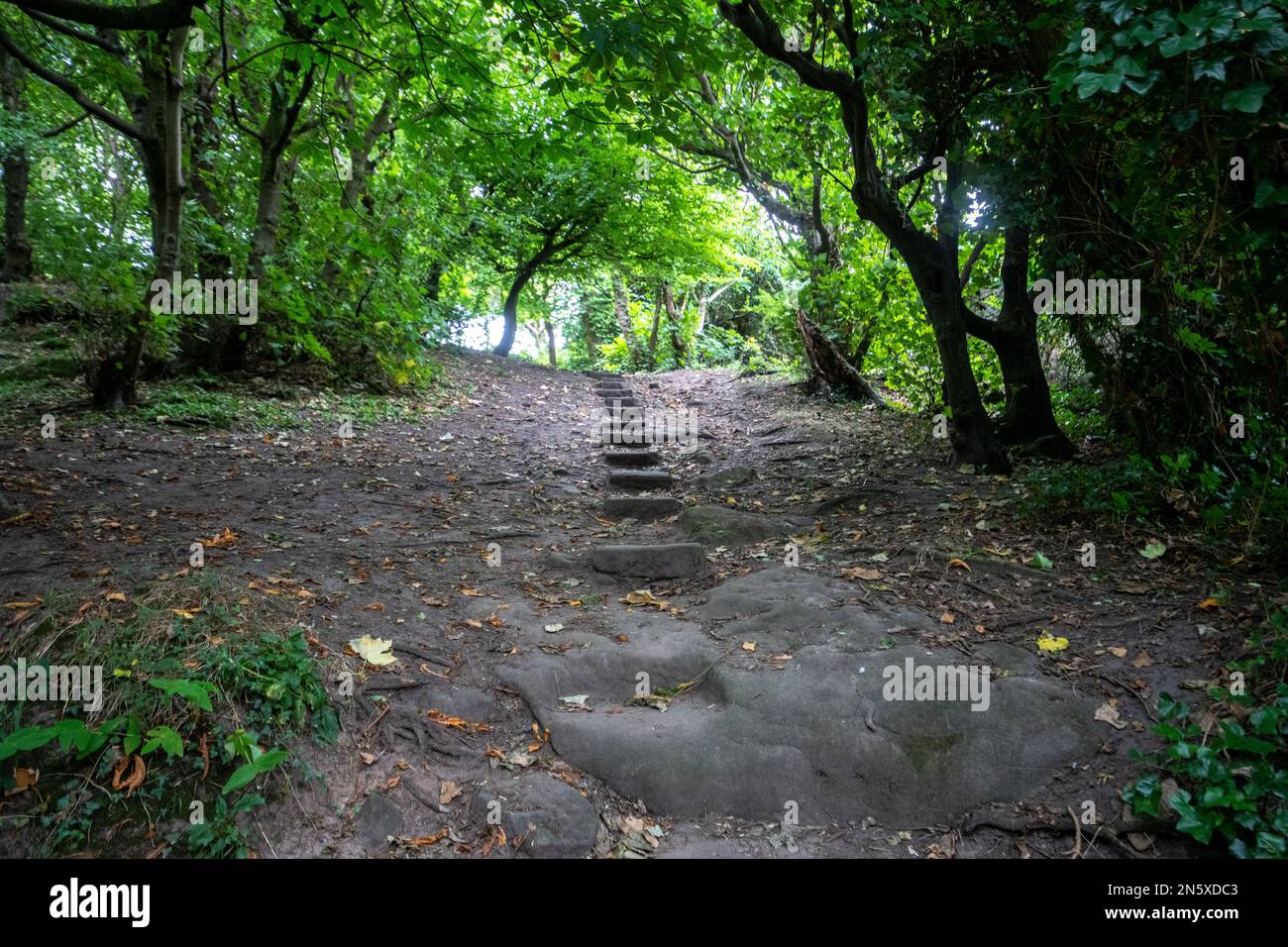 St. Patricks Church walking path Stock Photo - Alamy