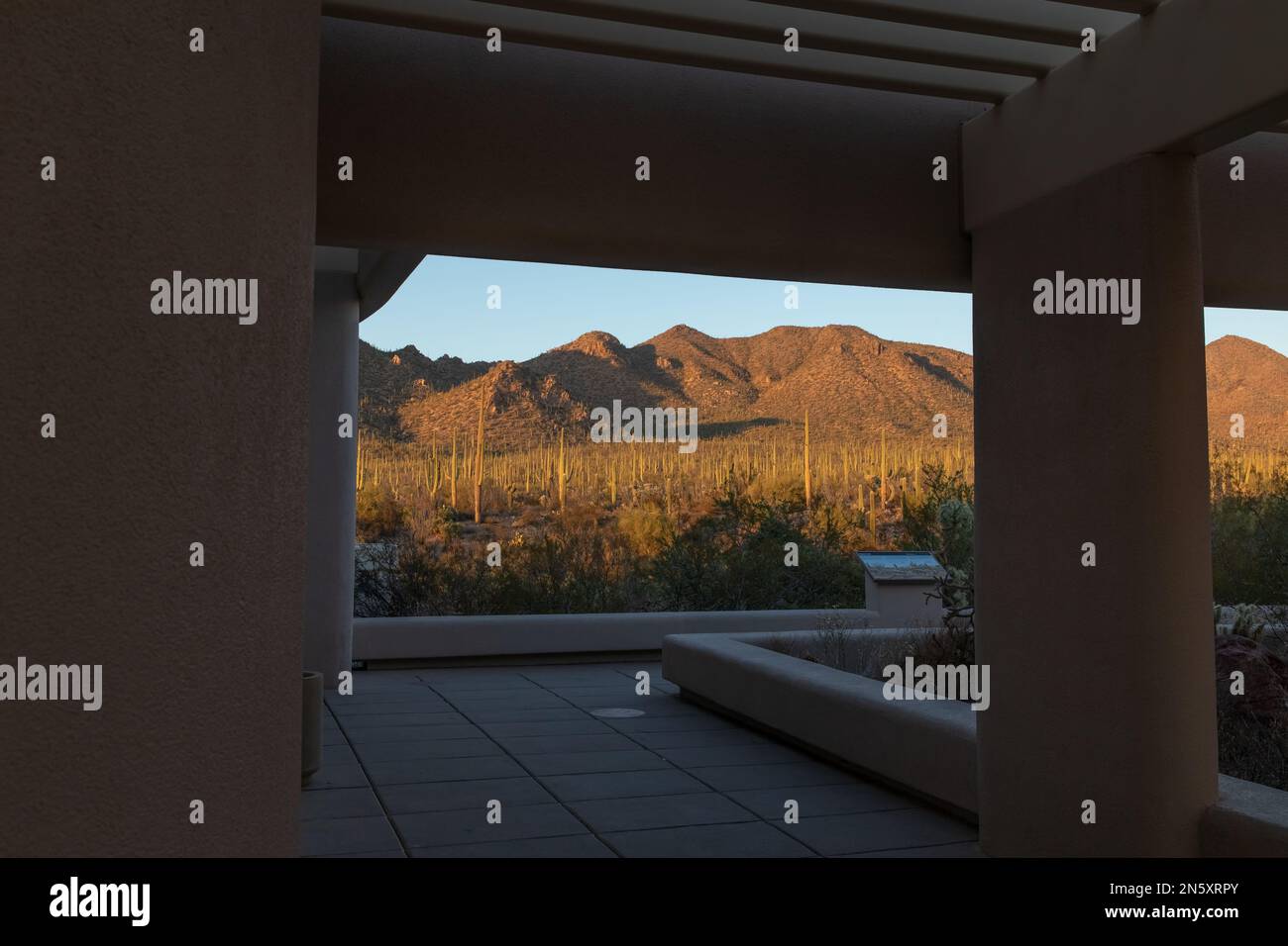 Saguaro national park visitors center hi-res stock photography and ...