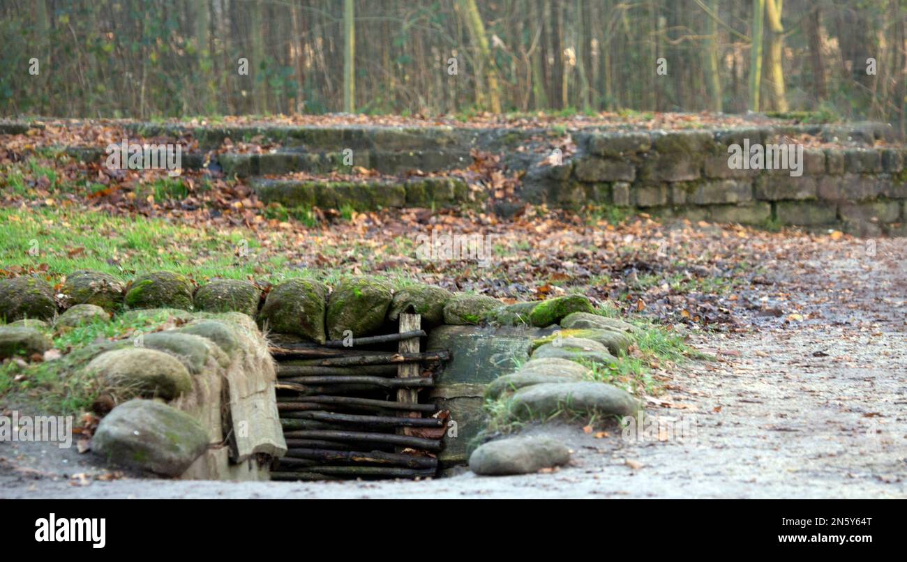 World War One German trenches and a bunker at Bayernwald, 'Bavarian ...