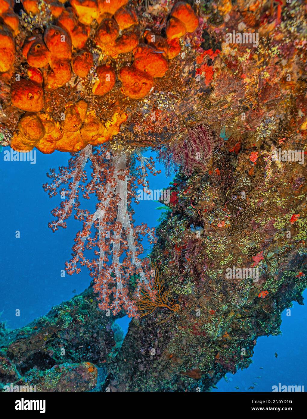 USAT Liberty was a United States Army cargo ship torpedoed by Japanese ...