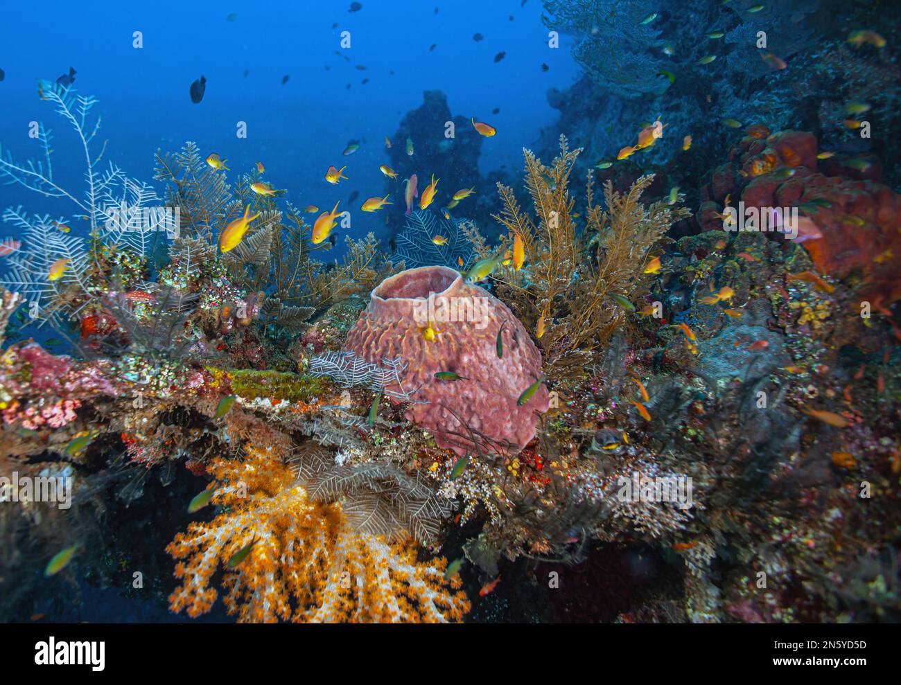 USAT Liberty was a United States Army cargo ship torpedoed by Japanese ...