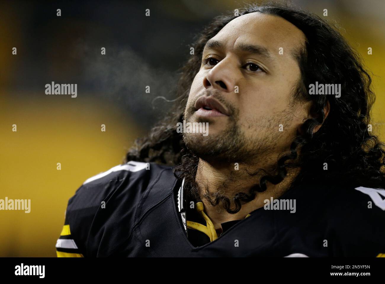Pittsburgh Steelers strong safety Troy Polamalu (43) stands on the ...