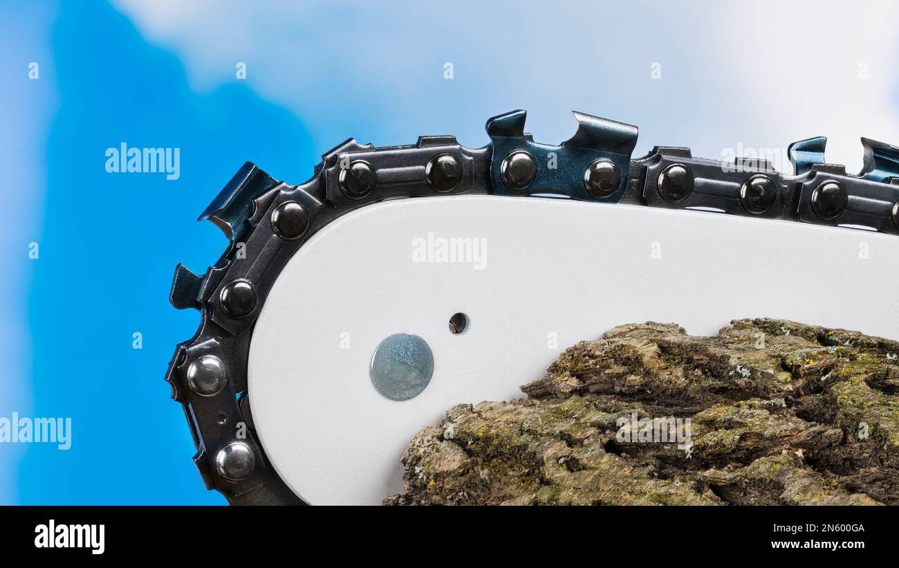 Closeup of chainsaw guide bar with steel teeth on cutting chain at wood ...