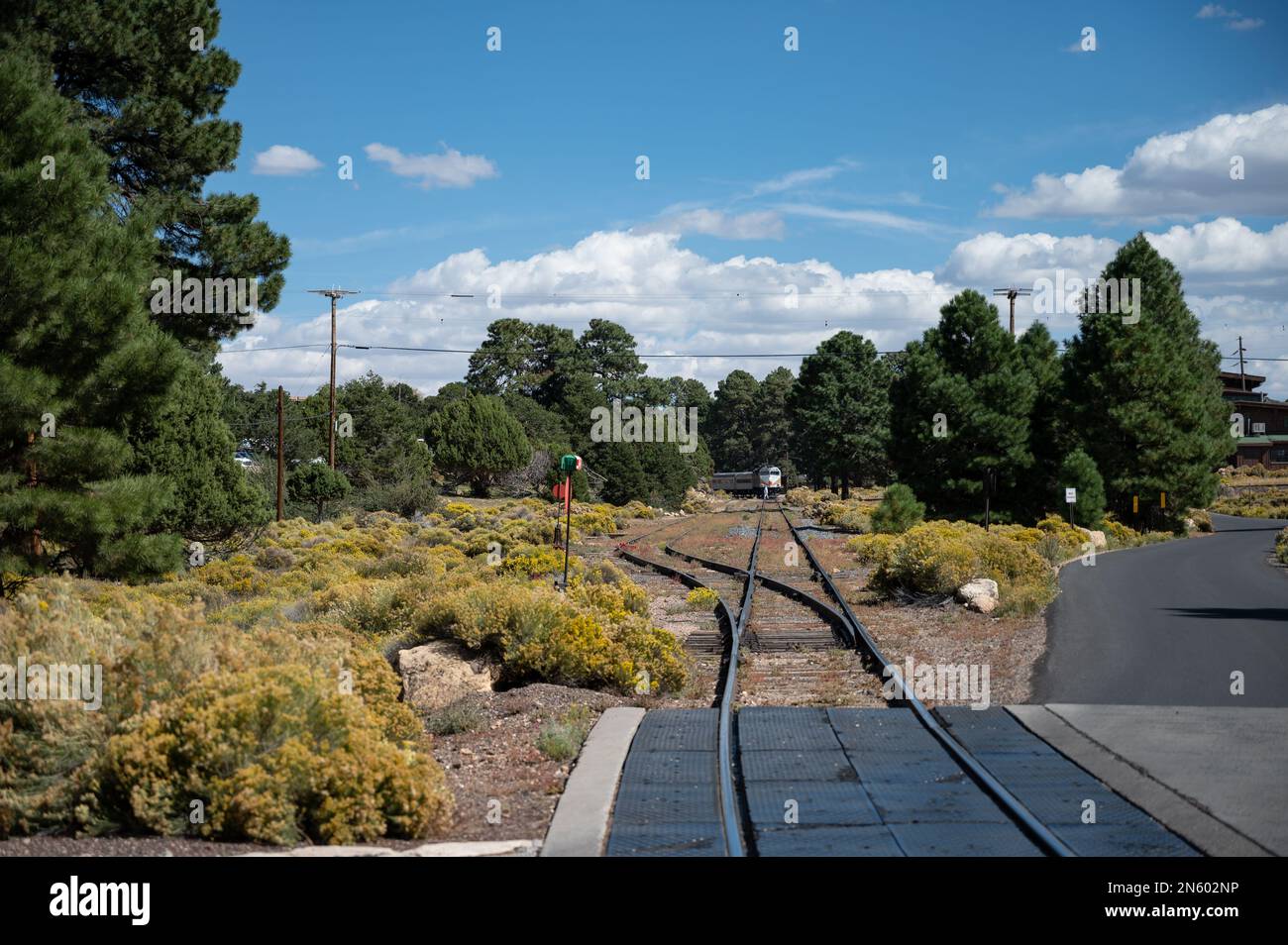 A beautiful view of metal train tracks through the forest on daytime ...