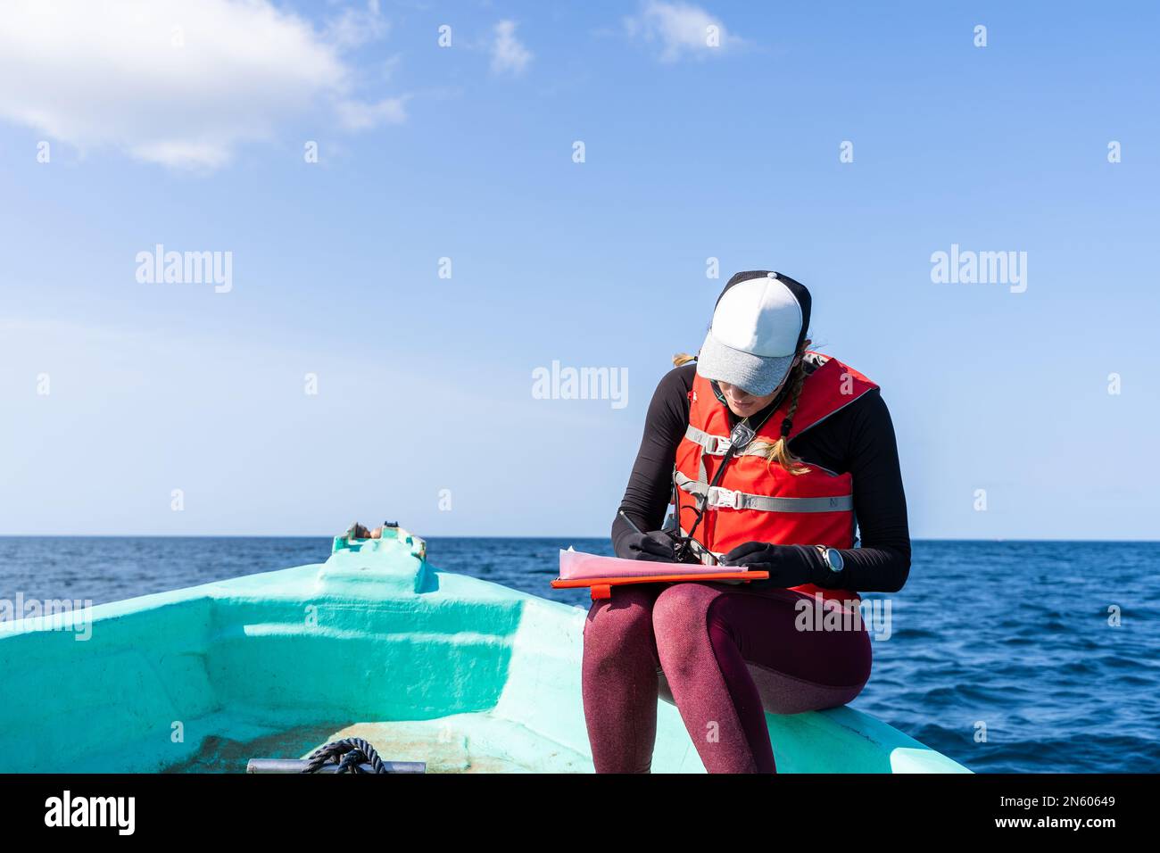 Whale diver scientist hi-res stock photography and images - Alamy