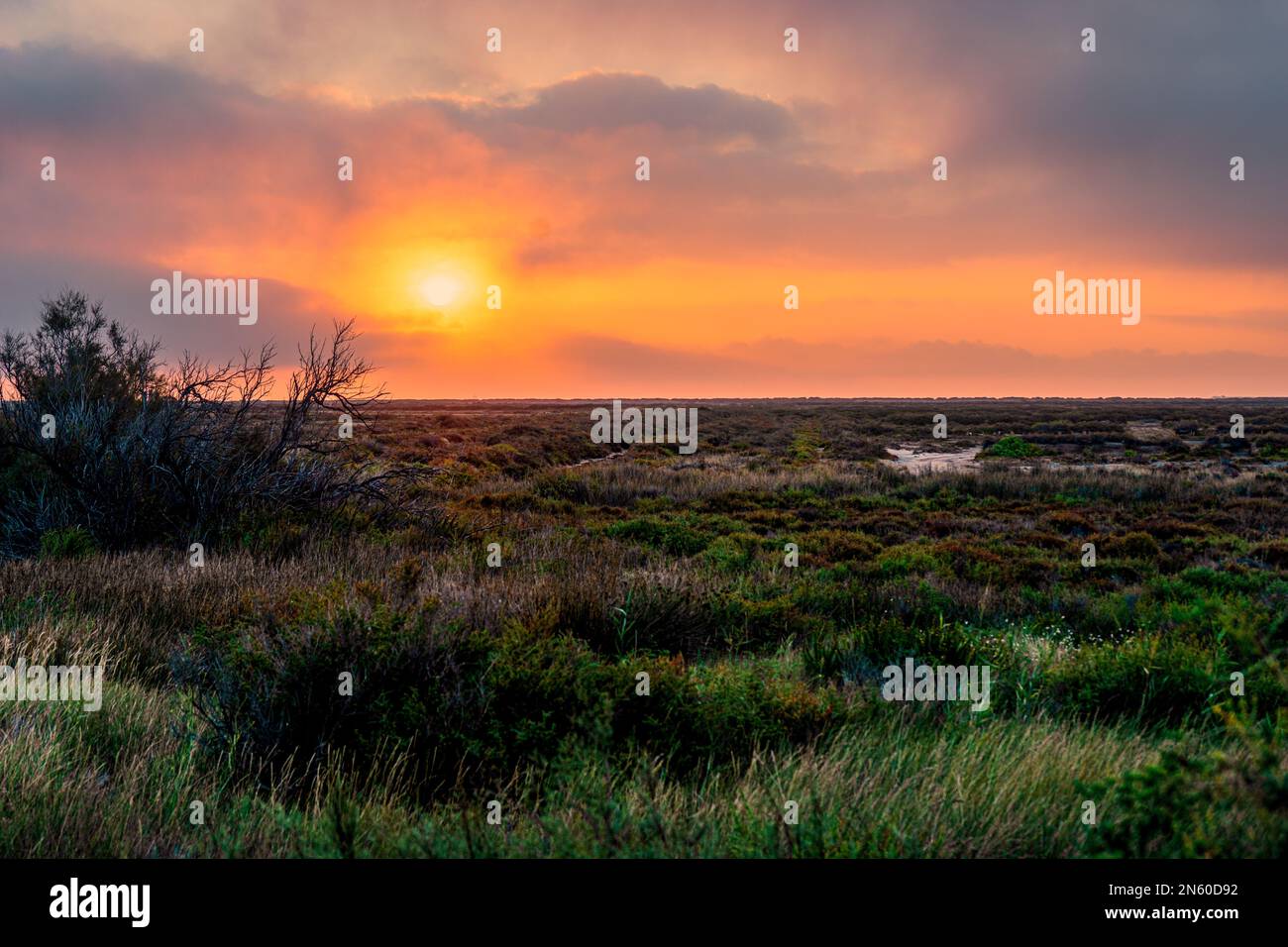 Sunset over the marshland of the Etang de l'Ayrolle near Gruissan on ...