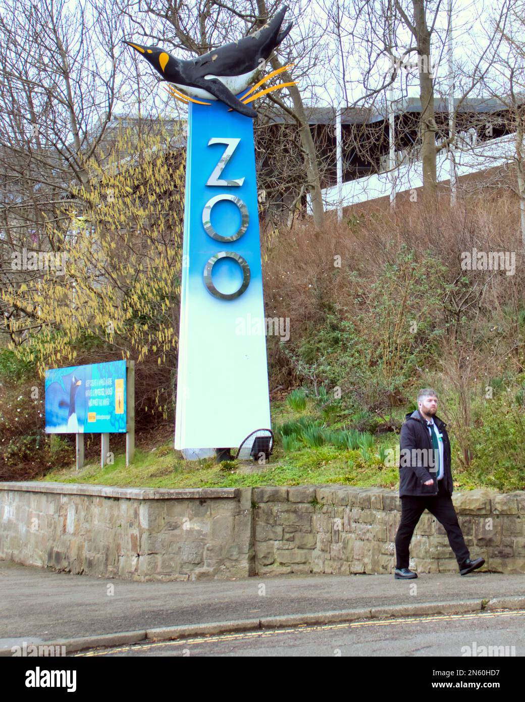 Animal posters hi-res stock photography and images - Alamy