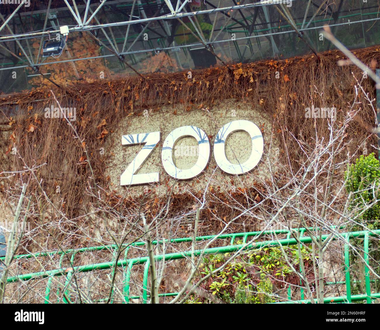 Animal posters hi-res stock photography and images - Alamy