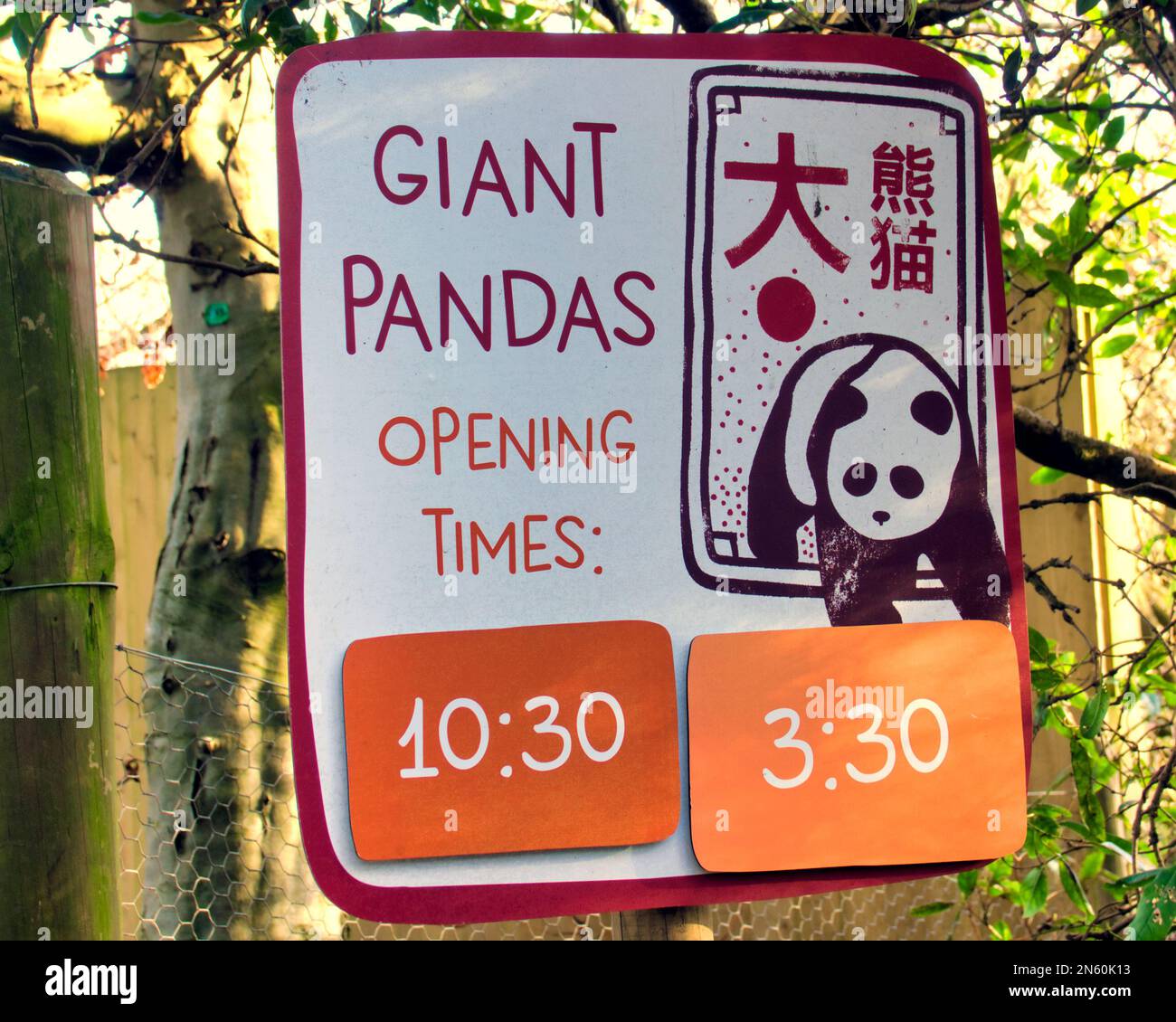 Cartoon panda with bamboo hi-res stock photography and images - Alamy