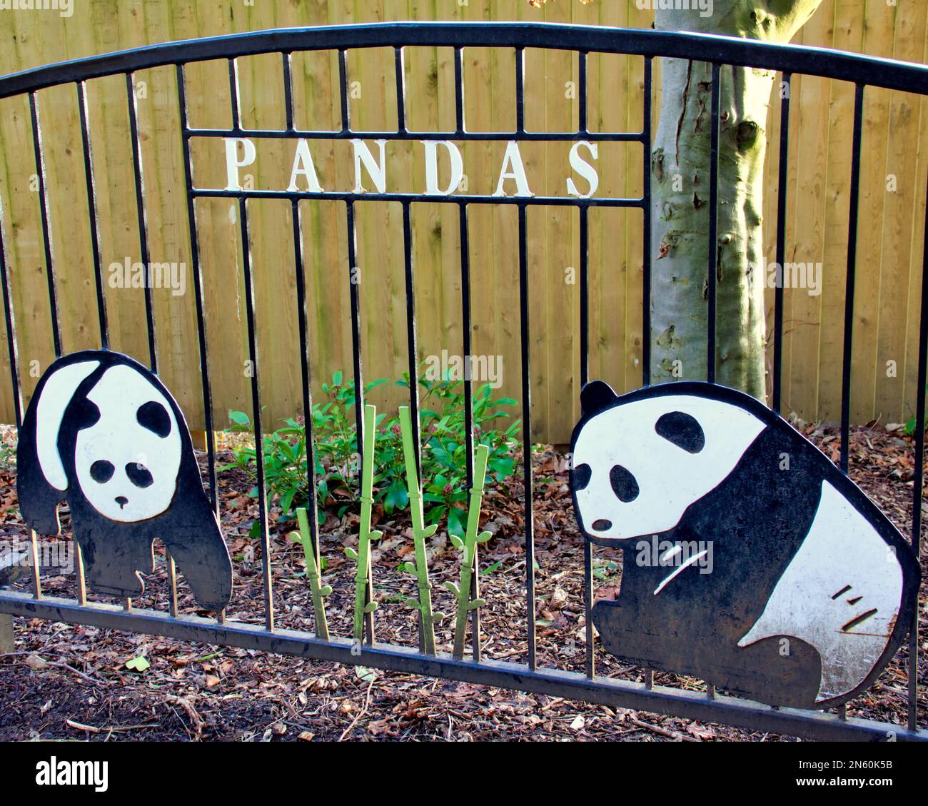 Edinburgh, Scotland, UK 9th February, 2023. Panda gates Edinburgh zoo ...