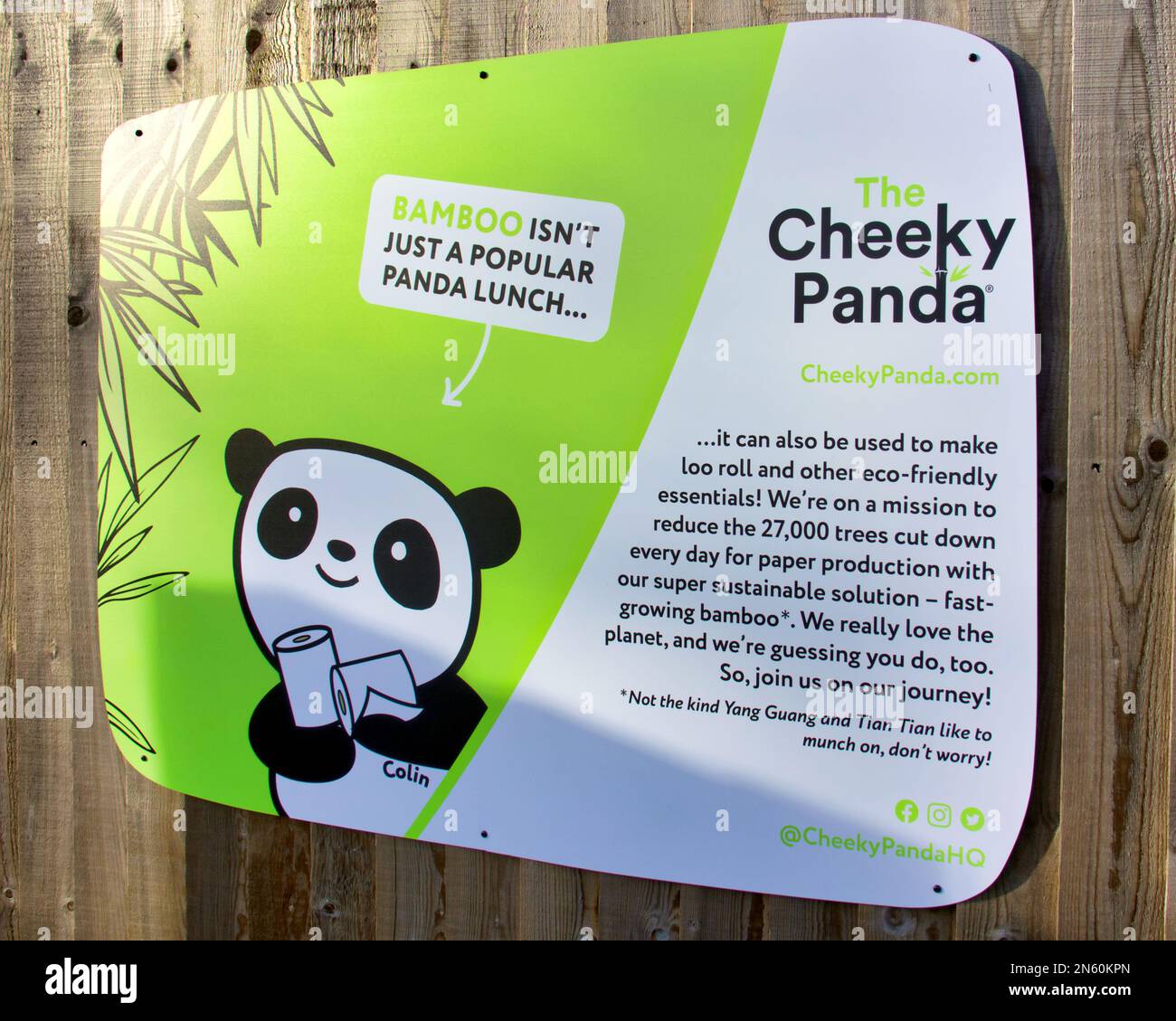 Cartoon panda with bamboo hi-res stock photography and images - Alamy