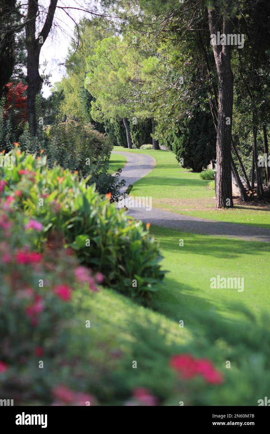 Photo outdoors in the park environment photo hi-res stock photography ...