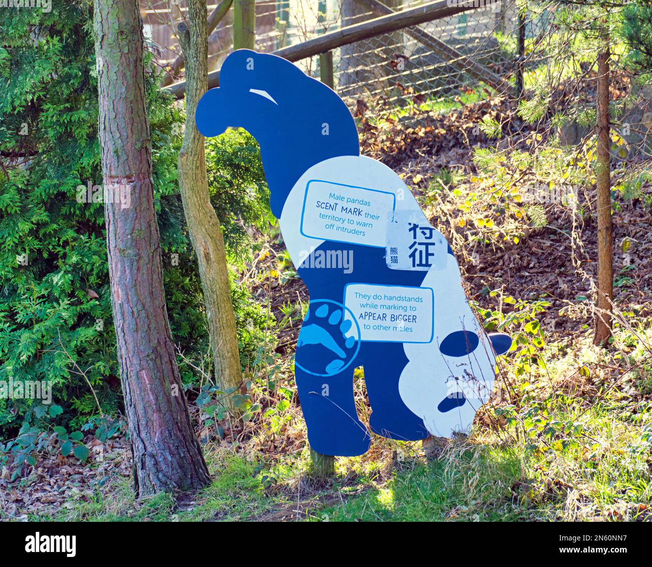 Cartoon zoo animal set hi-res stock photography and images - Alamy