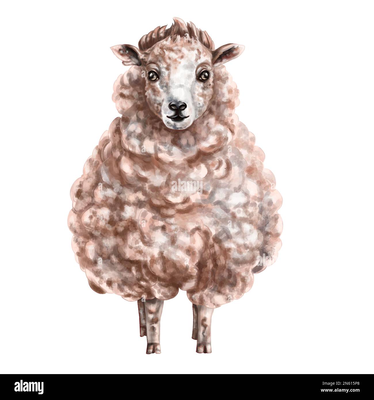 Fluffy milk-colored sheep in full growth. Digital illustration ...