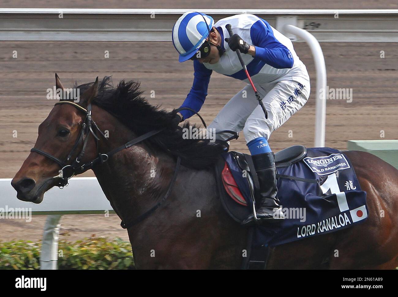 Japanese jockey Yasunari Iwata celebrates after riding Japan horse Lord ...
