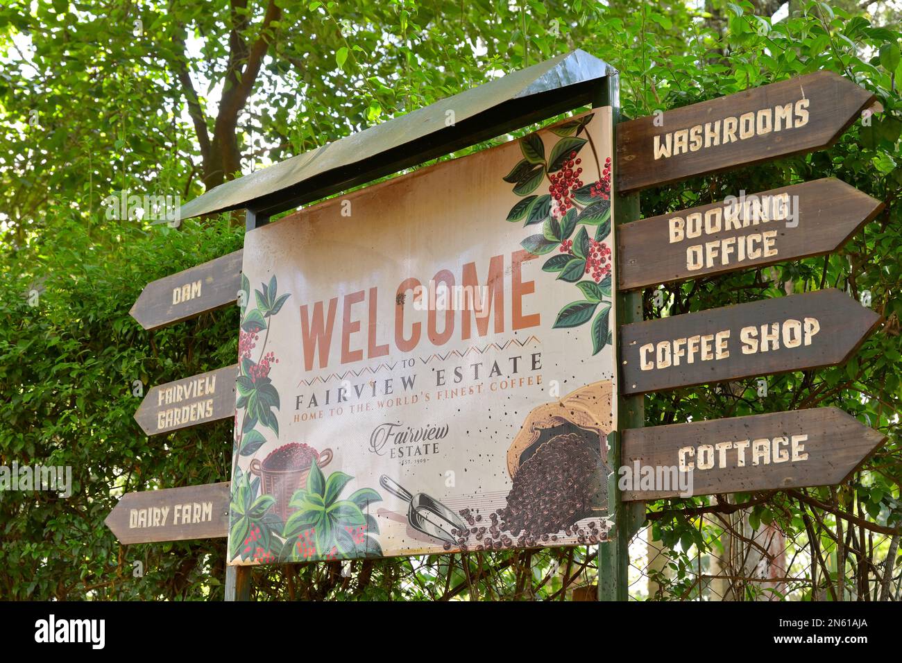 Kenya is a major producer and supplier of coffee - Fairview Estate ...