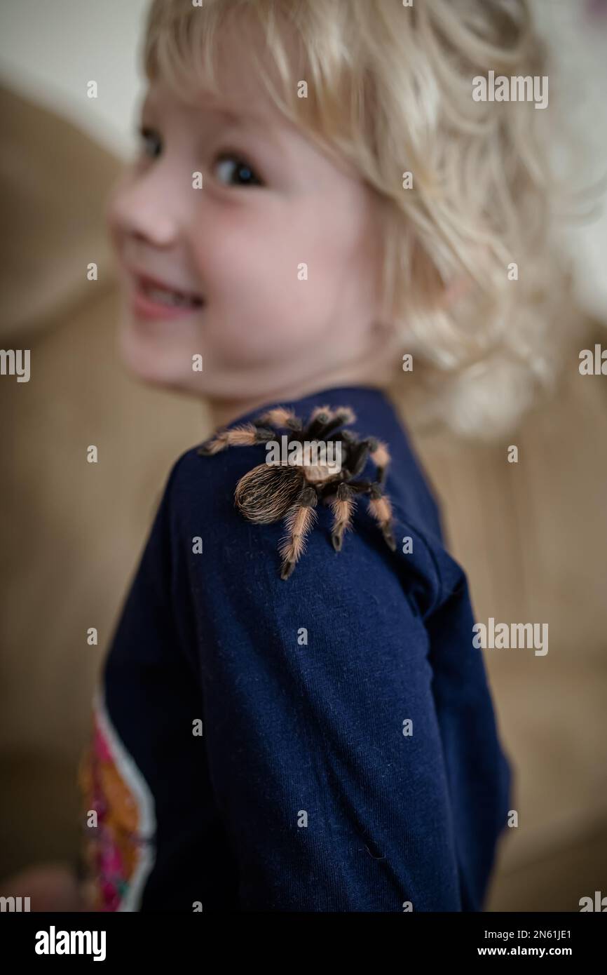 The child was frightened by a huge spider crawling on his back. The ...