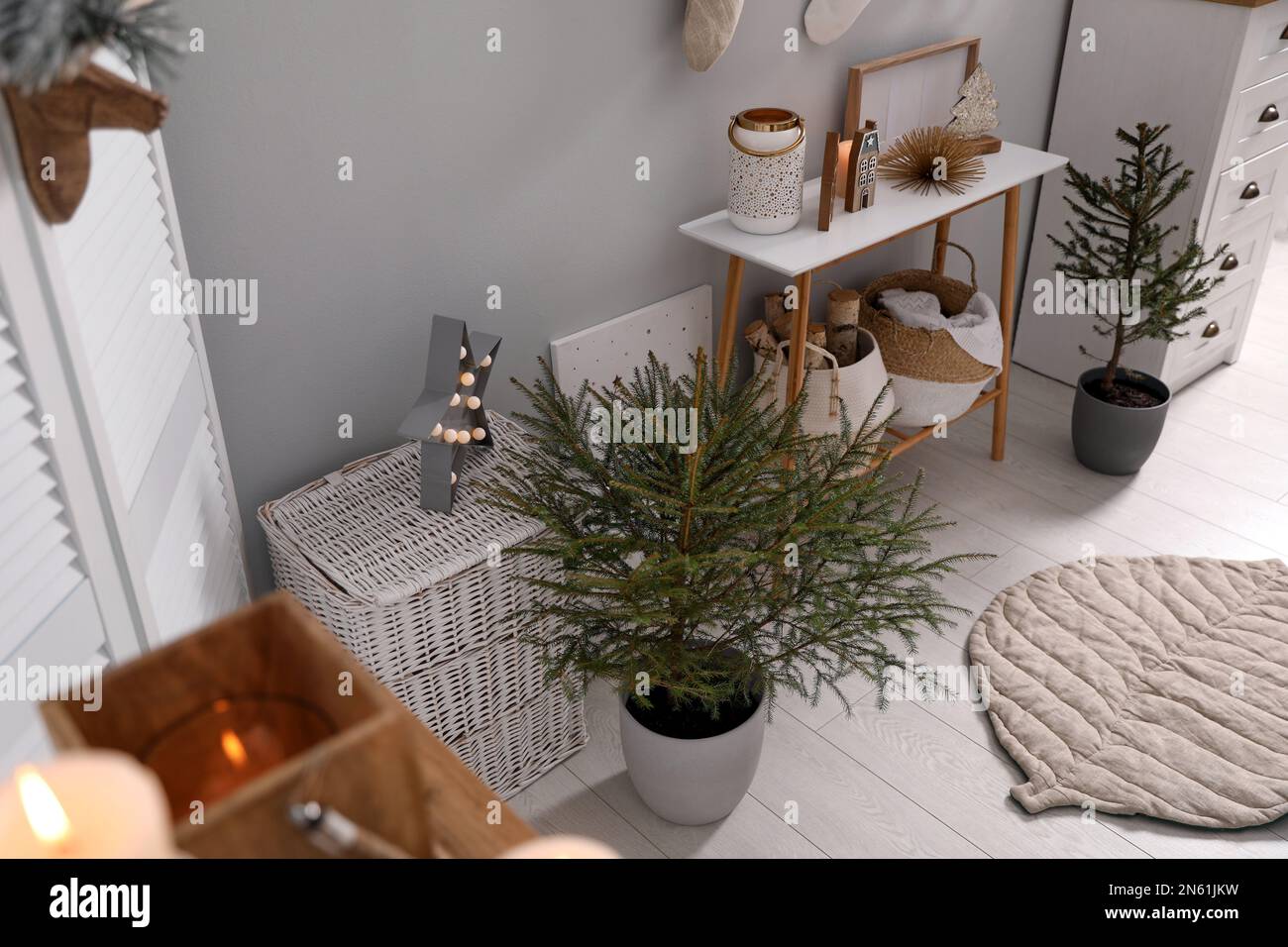 Beautiful room with potted fir trees. Interior design Stock Photo - Alamy