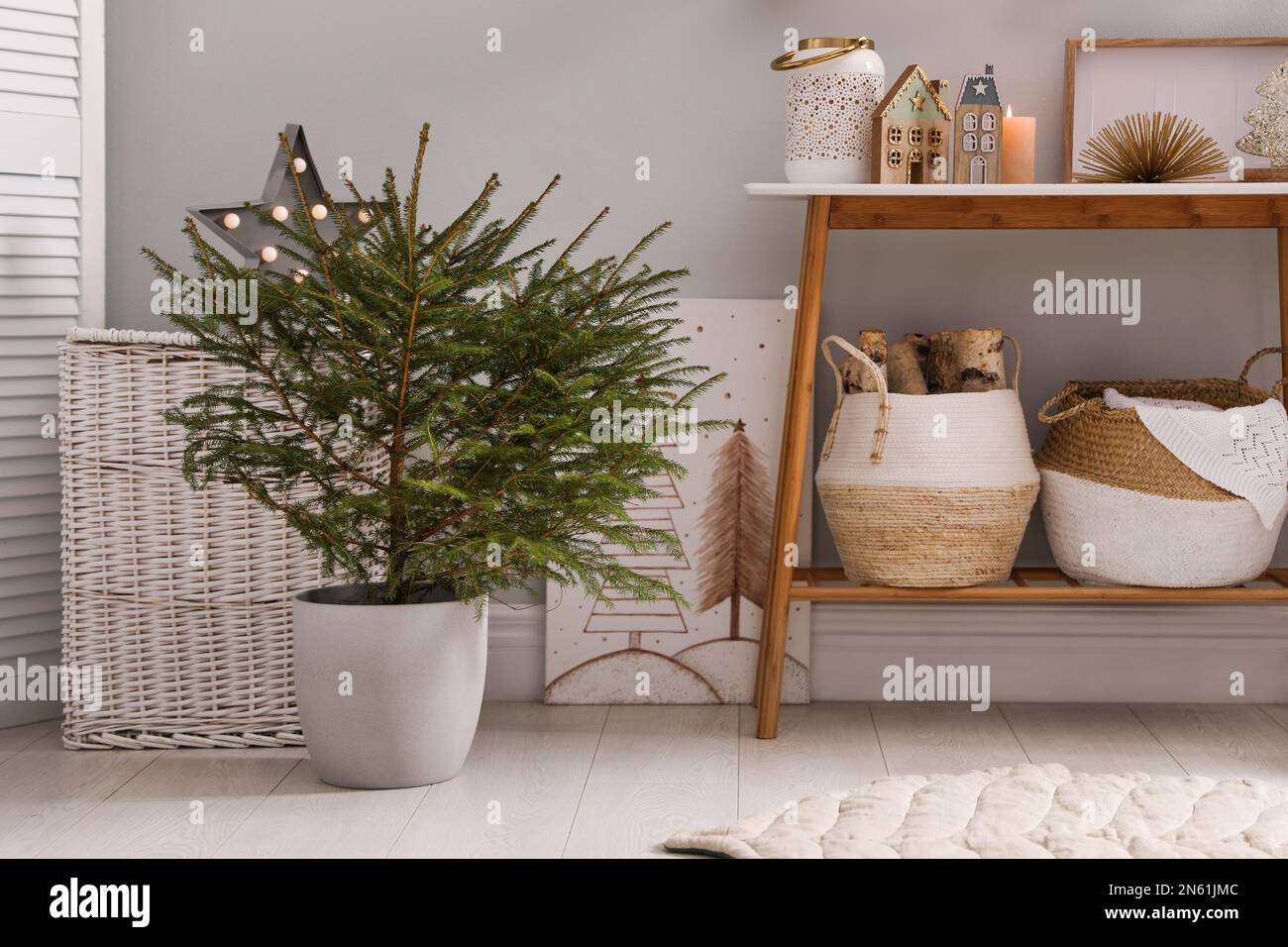 Beautiful room with potted fir tree on floor. Interior design Stock ...