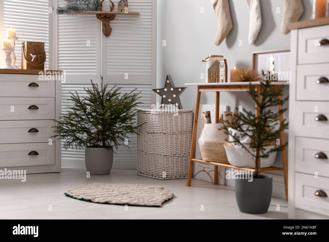 Beautiful room with potted fir trees. Interior design Stock Photo - Alamy