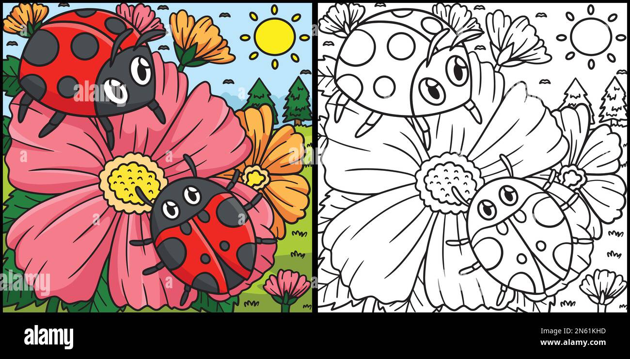 Spring Ladybugs On Flower Coloring Illustration Stock Vector Image ...