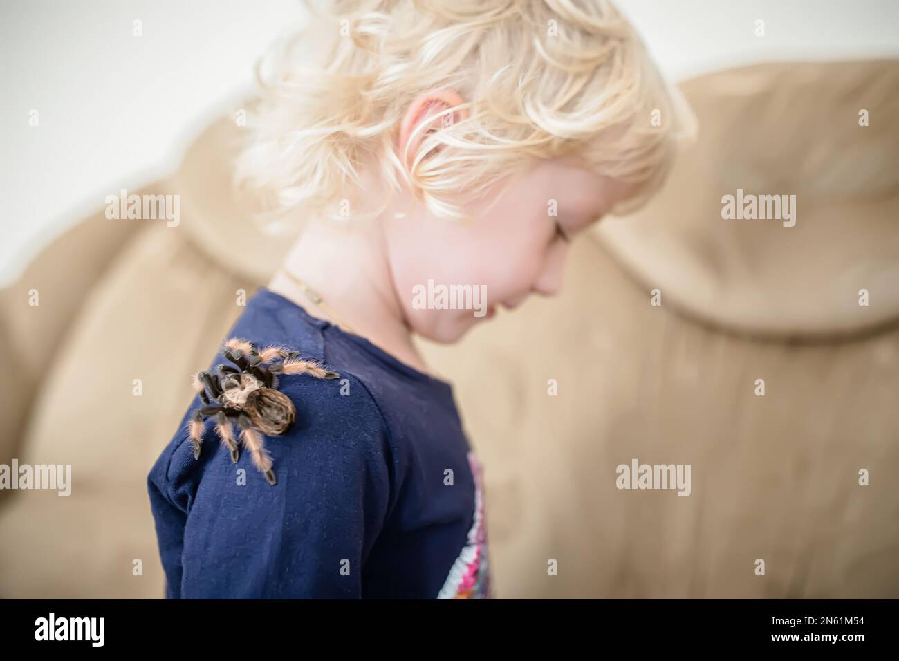 The child was frightened by a huge spider crawling on his back. The ...