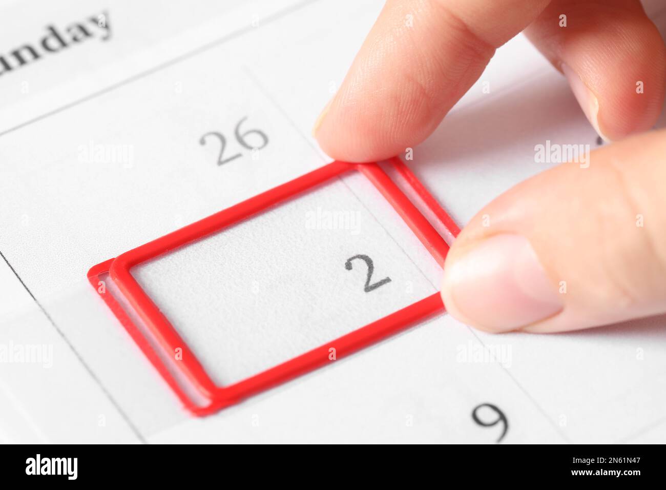 Female groundhog hi-res stock photography and images - Alamy