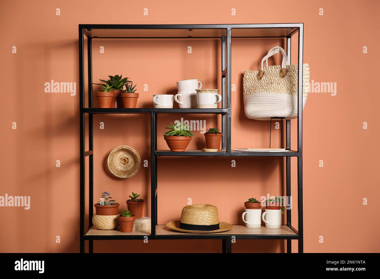 Stylish shelving unit with decorative elements near color wall ...