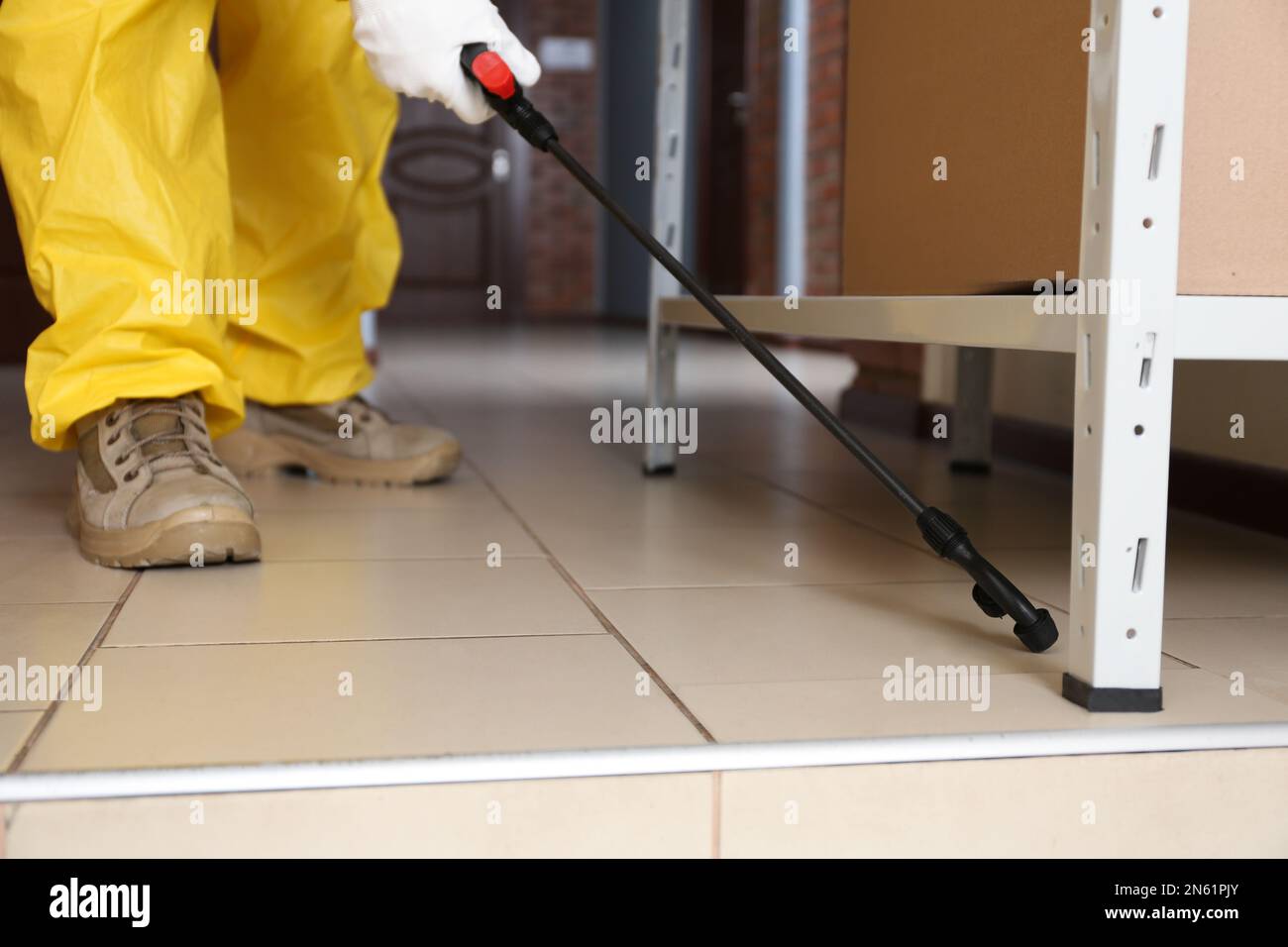 Pest control worker spraying pesticide on rack indoors, closeup Stock ...