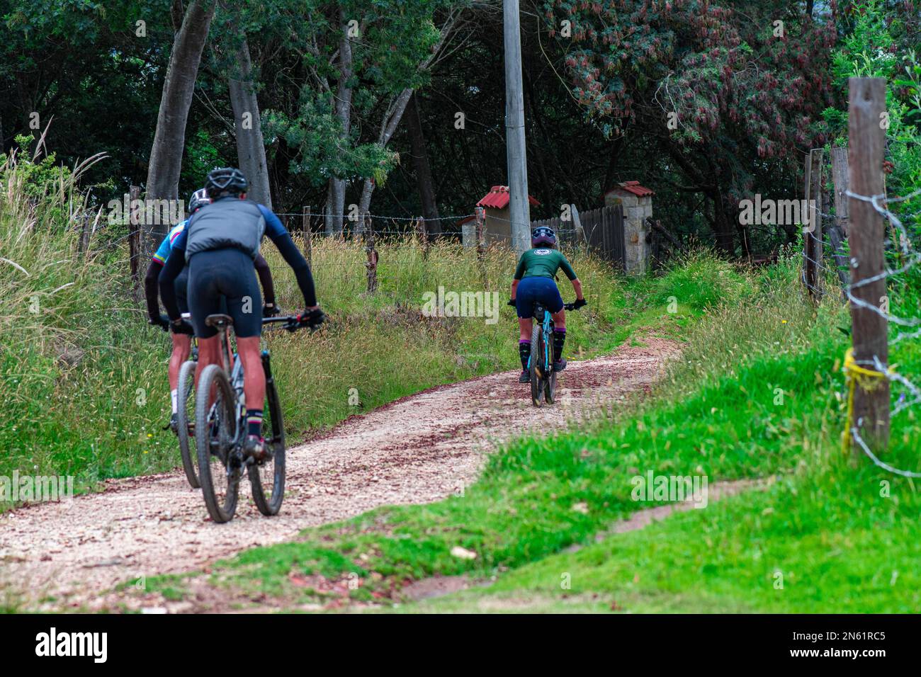 A back view of a group of cyclists on a dirt road with fresh grass ...