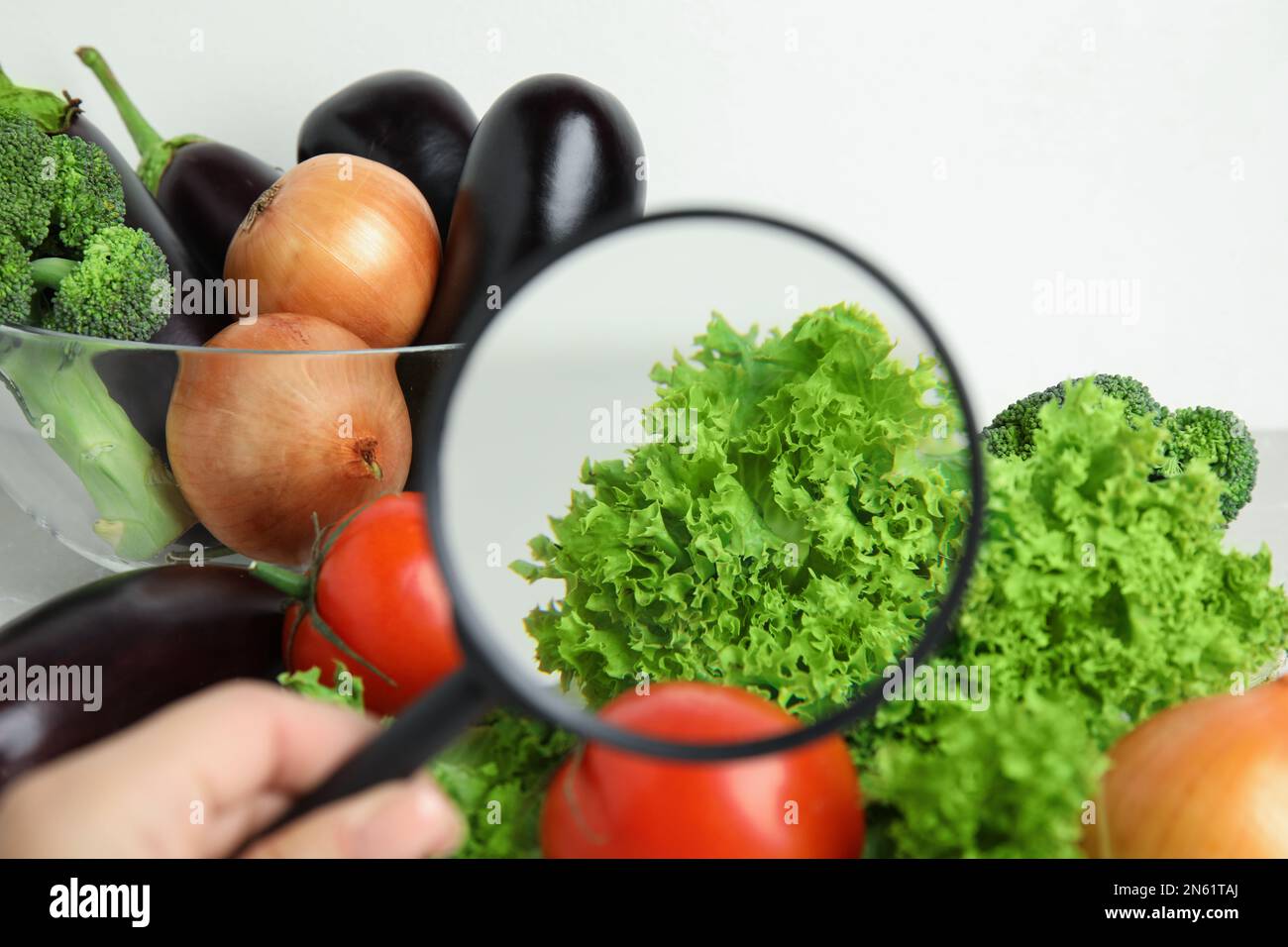 Woman with magnifying glass exploring vegetables, closeup. Poison ...