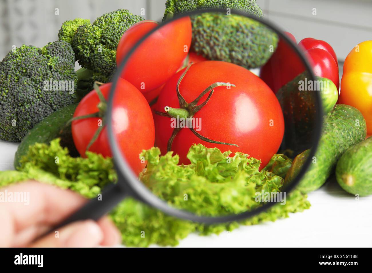 Woman with magnifying glass exploring vegetables, closeup. Poison ...