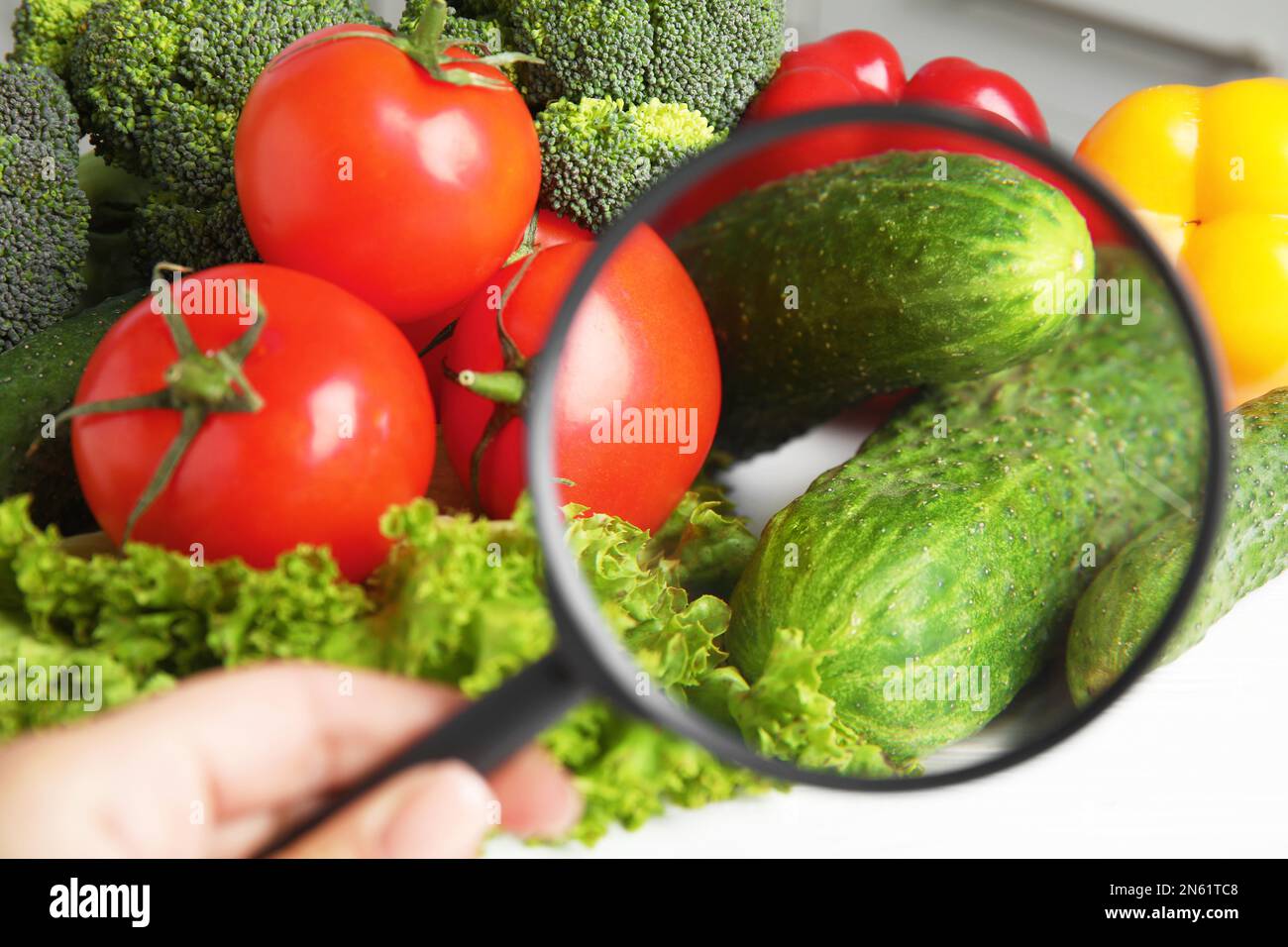 Woman with magnifying glass exploring vegetables, closeup. Poison ...