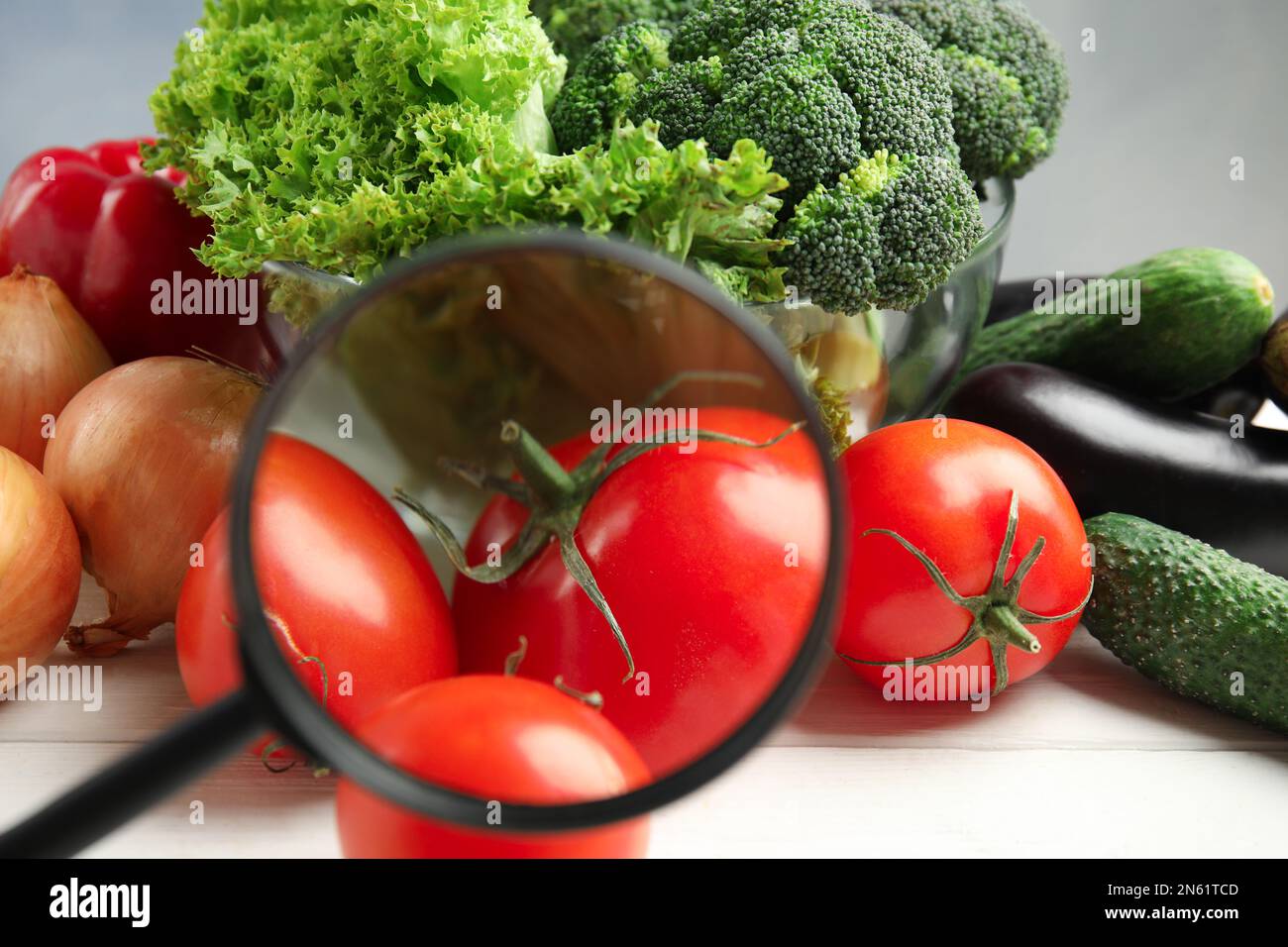 View through magnifying glass on tomatoes, closeup. Poison detection ...