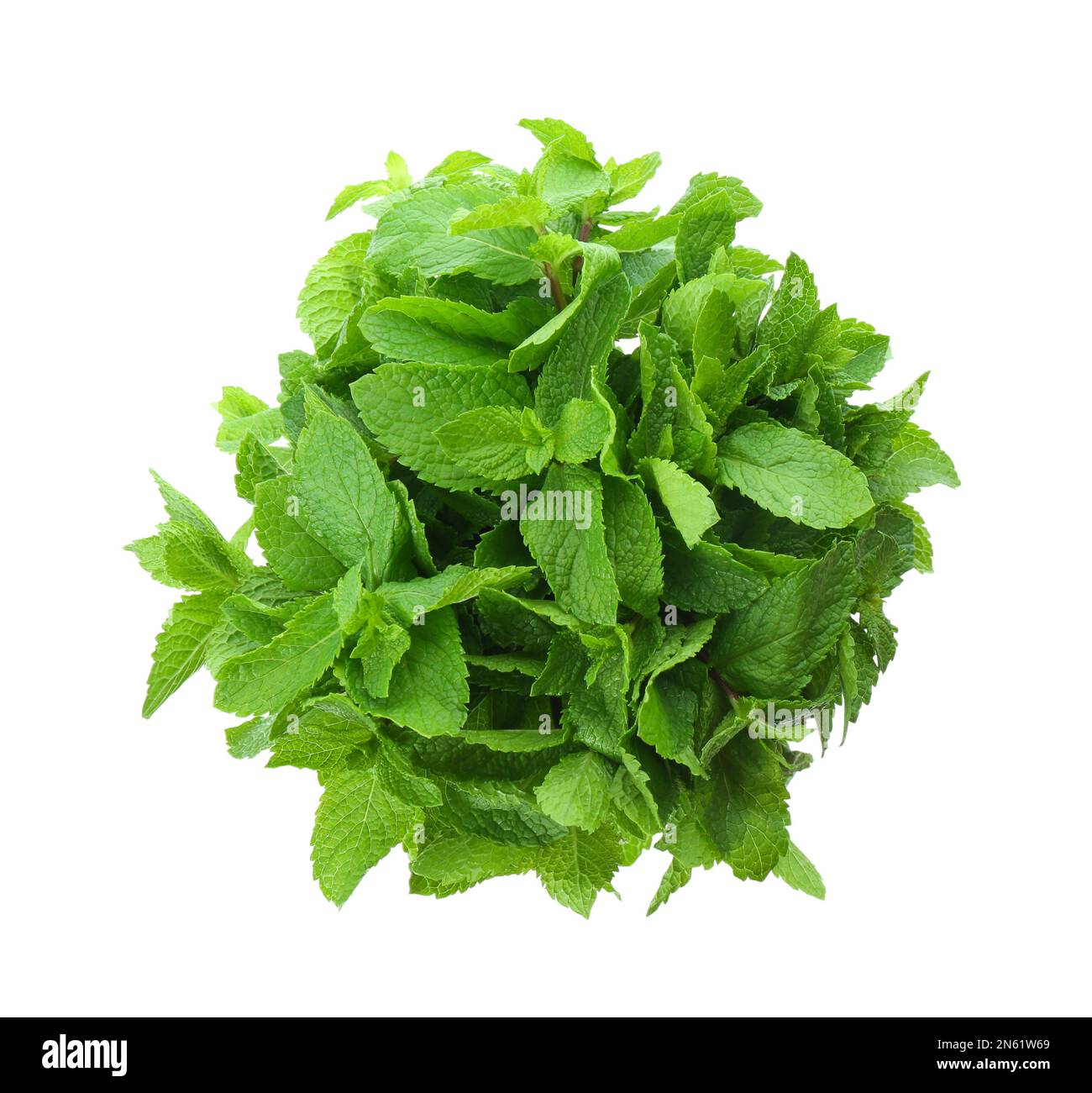 Bunch of fresh mint isolated on white, top view Stock Photo - Alamy