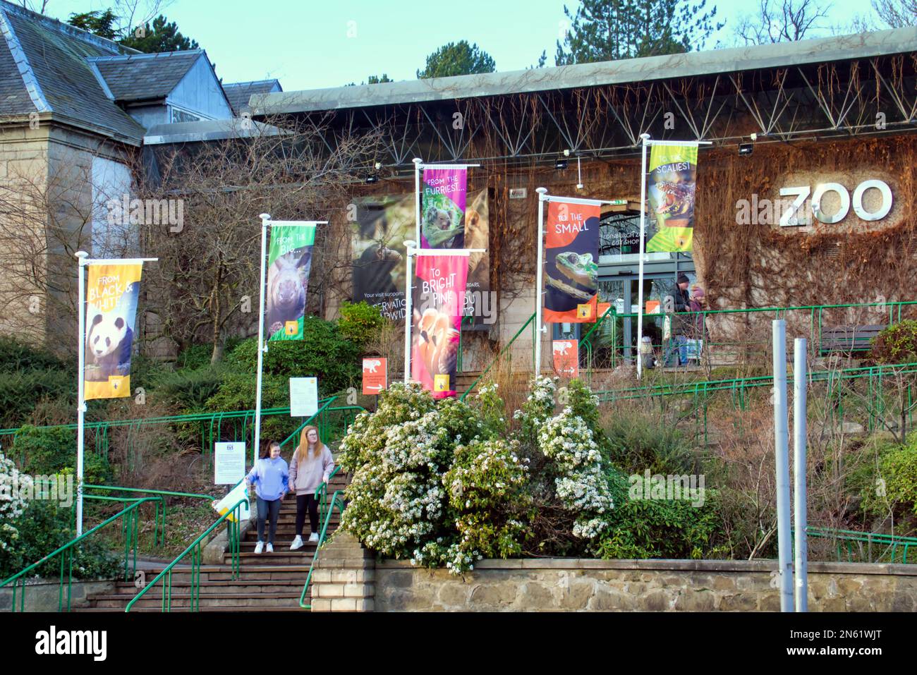 Animal posters hi-res stock photography and images - Alamy