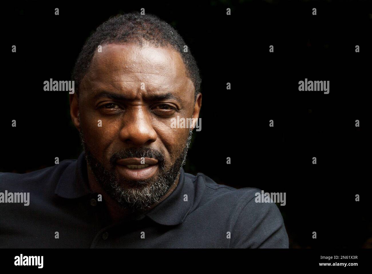 In this Sunday, Nov. 10, 2013 photo, actor Idris Elba poses for a ...