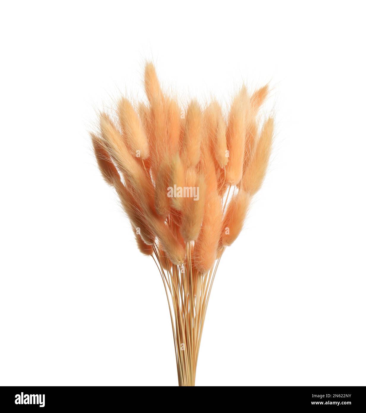 Bouquet of dried flowers on white background Stock Photo - Alamy