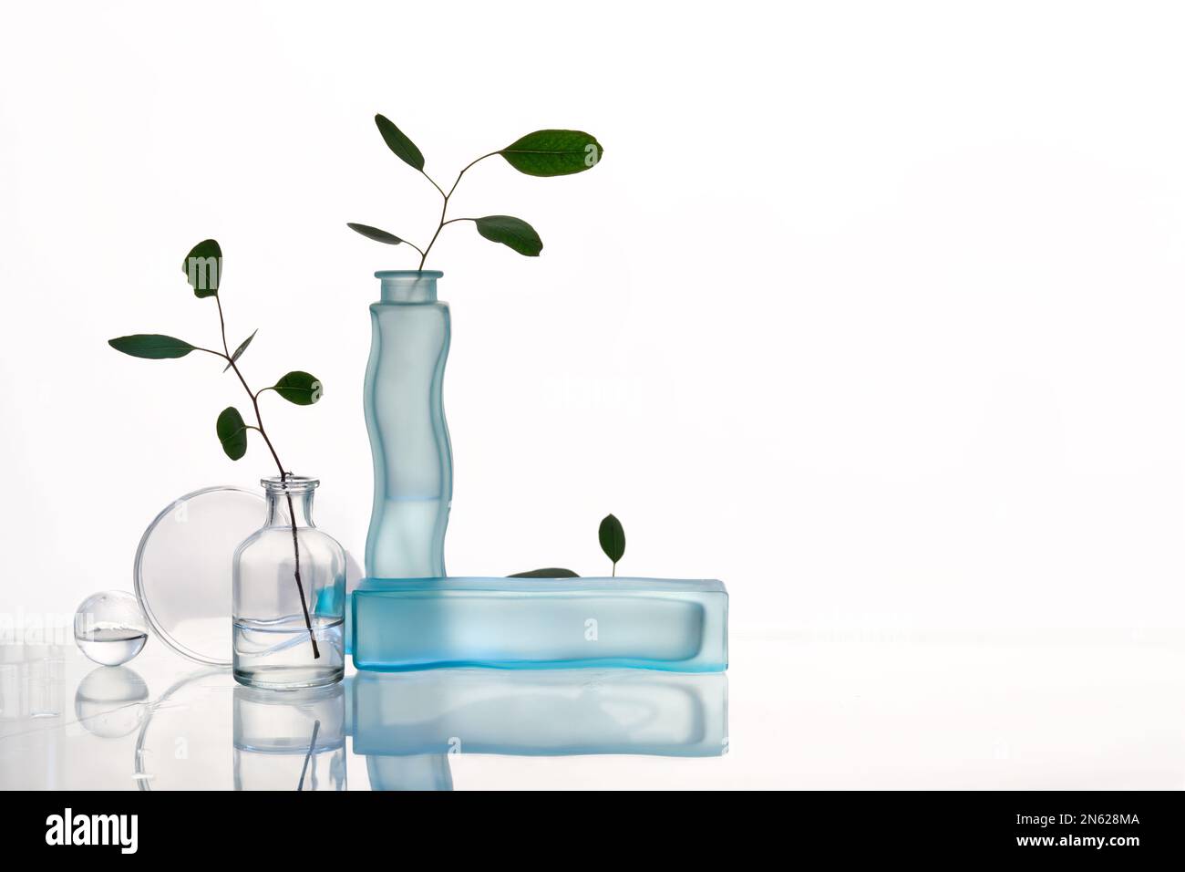 Monochromatic Surrealism - Transparent Flask and Water-filled vases ...