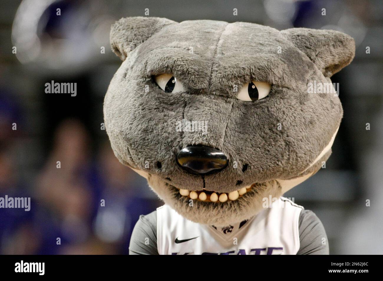 Manhattan Mascot Ncaa