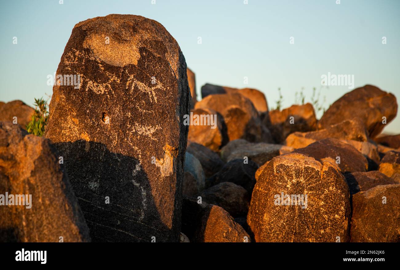 Arizona petroglyphs - Saguaro National Park Stock Photo - Alamy