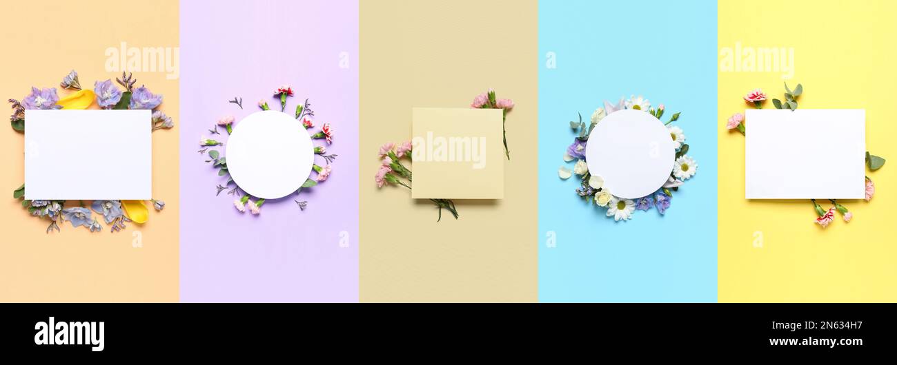 Set of blank cards with flowers on colorful background Stock Photo - Alamy