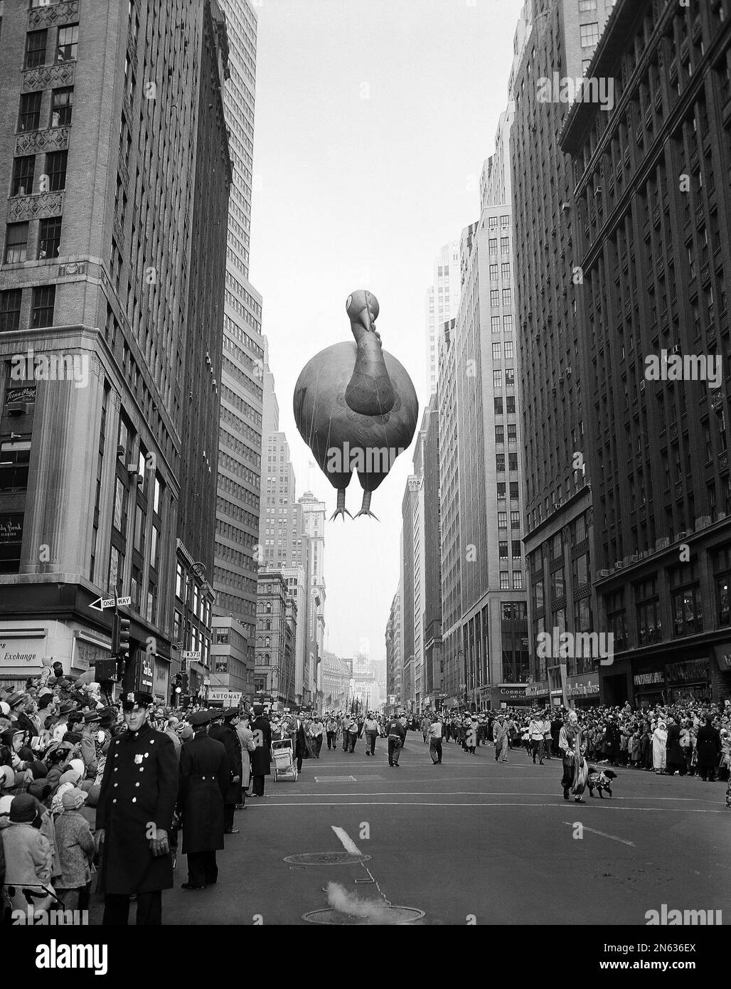 1957 - A giant turkey float squeezes between buildings as the 31st ...