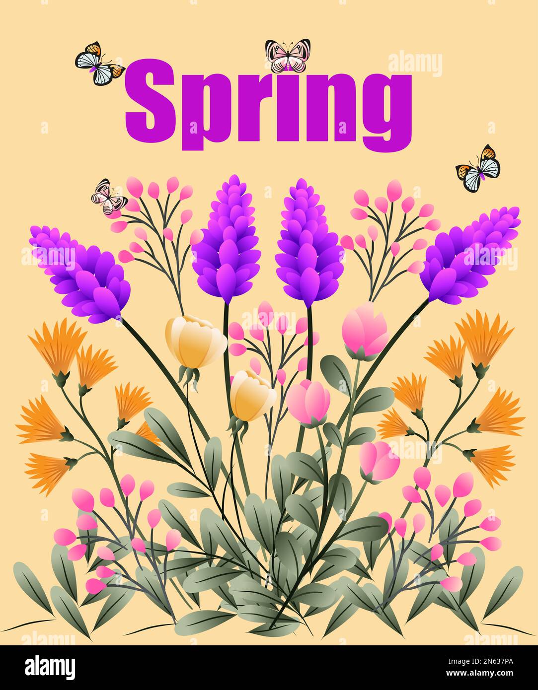 Springvibe hi-res stock photography and images - Alamy