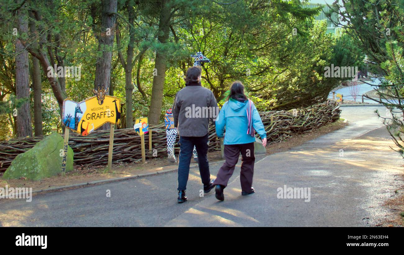 Couple holding hands walking past giraffe sign Edinburgh zoo Stock ...