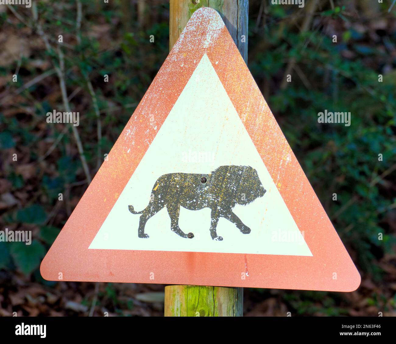 Train warning signs for lions limiting speed to 20 to avoid hitting ...