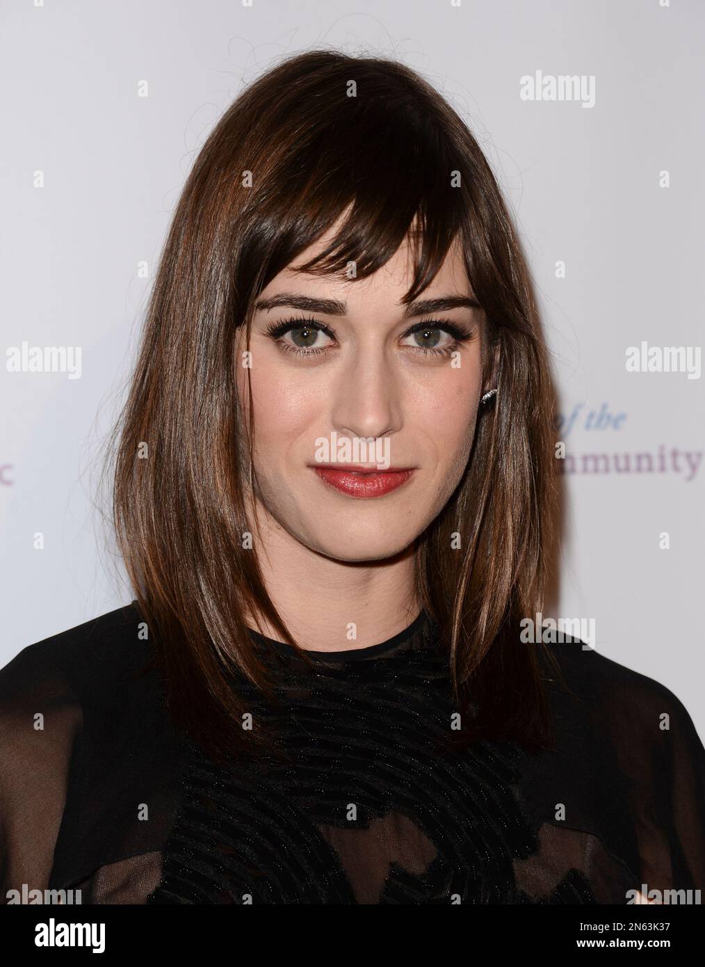 Actress Lizzie Caplan arrives at the Saban Community Clinic's benefit ...