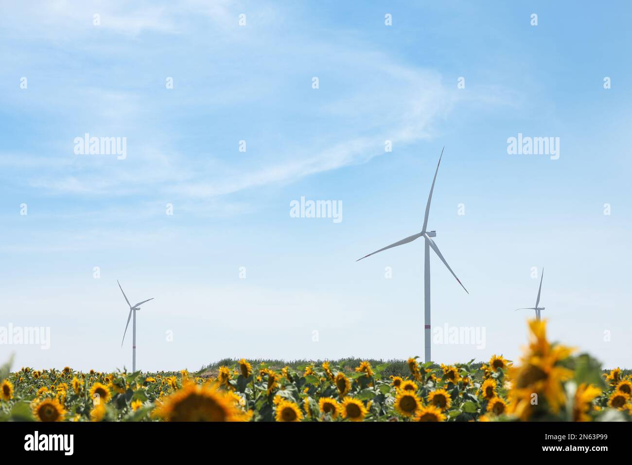 Sunflower field and windmill hi-res stock photography and images - Alamy