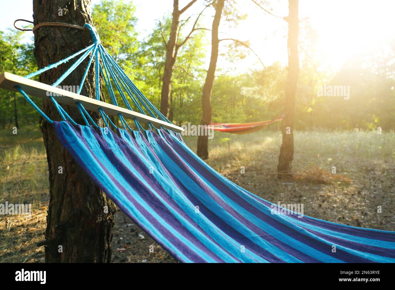 Empty hammock forest hi-res stock photography and images - Alamy
